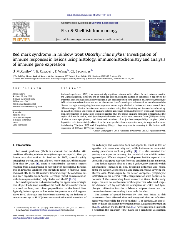 (PDF) Red mark syndrome in rainbow trout Oncorhynchus mykiss ...