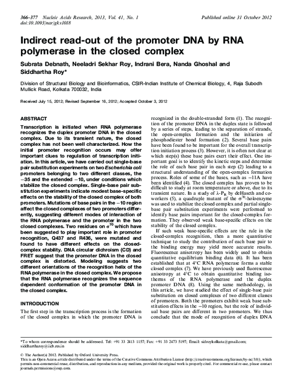 (PDF) Indirect read-out of the promoter DNA by RNA polymerase in the ...