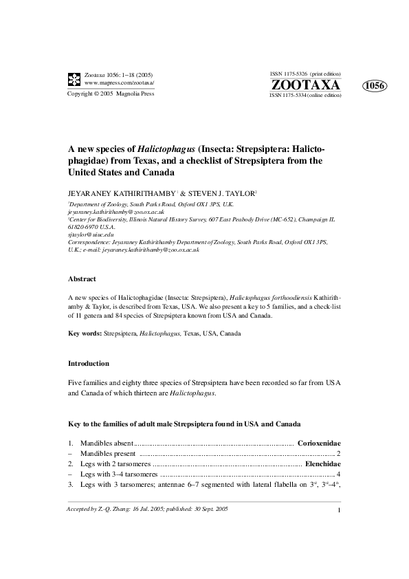 (PDF) A new species of Halictophagus (Insecta: Strepsiptera: Halicto ...