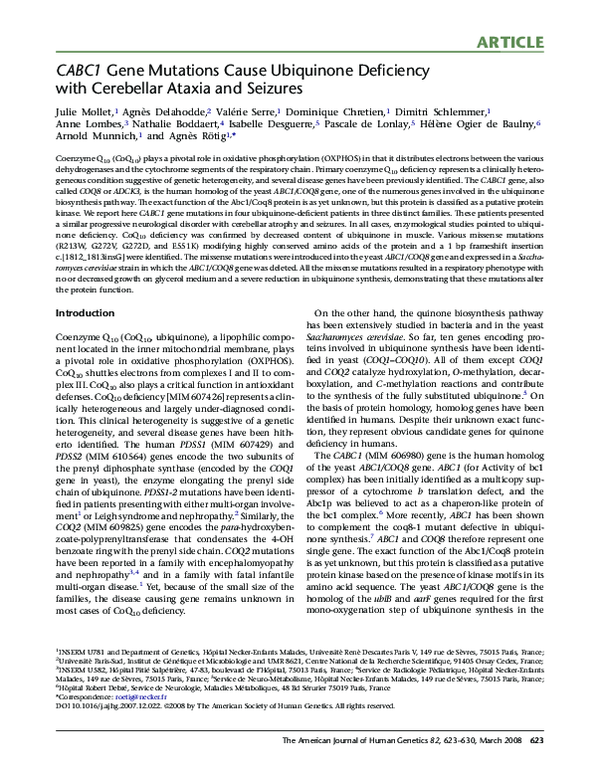 (PDF) CABC1 Gene Mutations Cause Ubiquinone Deficiency with Cerebellar Ataxia and Seizures