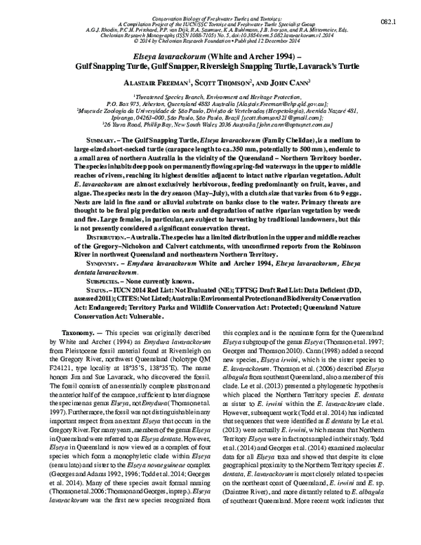 (PDF) Elseya lavarackorum (White and Archer 1994) – Gulf Snapping ...