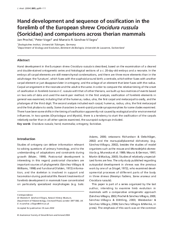 (PDF) Hand development and sequence of ossification in the forelimb of ...