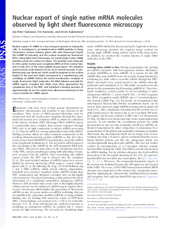 (PDF) Nuclear export of single native mRNA molecules observed by light ...
