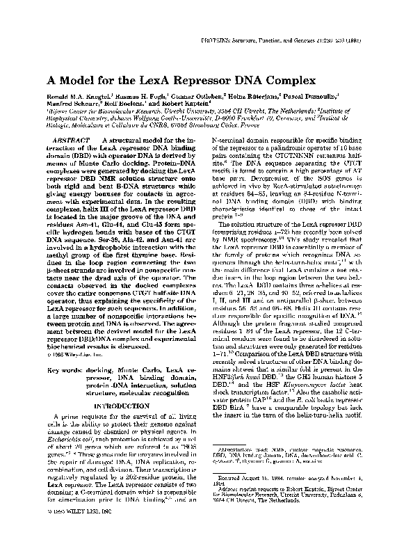 (PDF) A model for the LexA repressor DNA complex