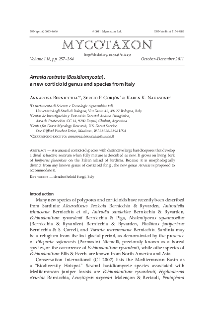 (PDF) Arrasia rostrata ( Basidiomycota ), a new corticioid genus and ...