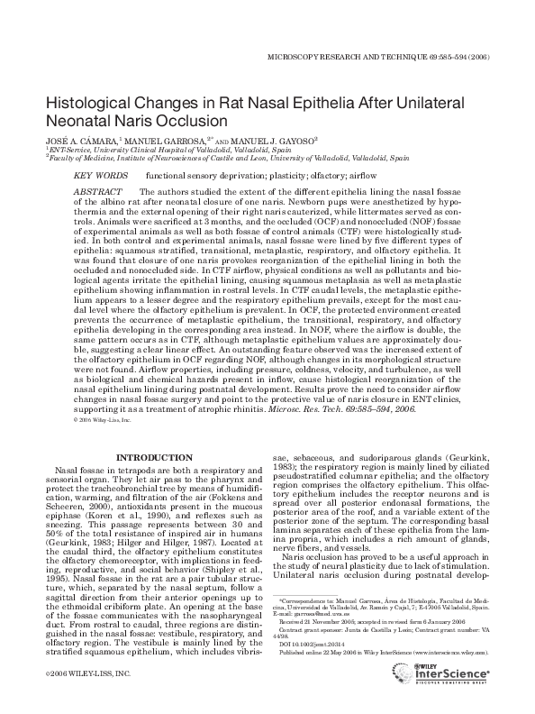 (PDF) Histological changes in rat nasal epithelia after unilateral ...