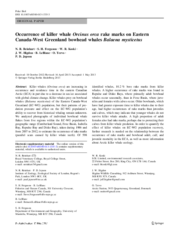 (PDF) Occurrence of killer whale Orcinus orca rake marks on Eastern ...