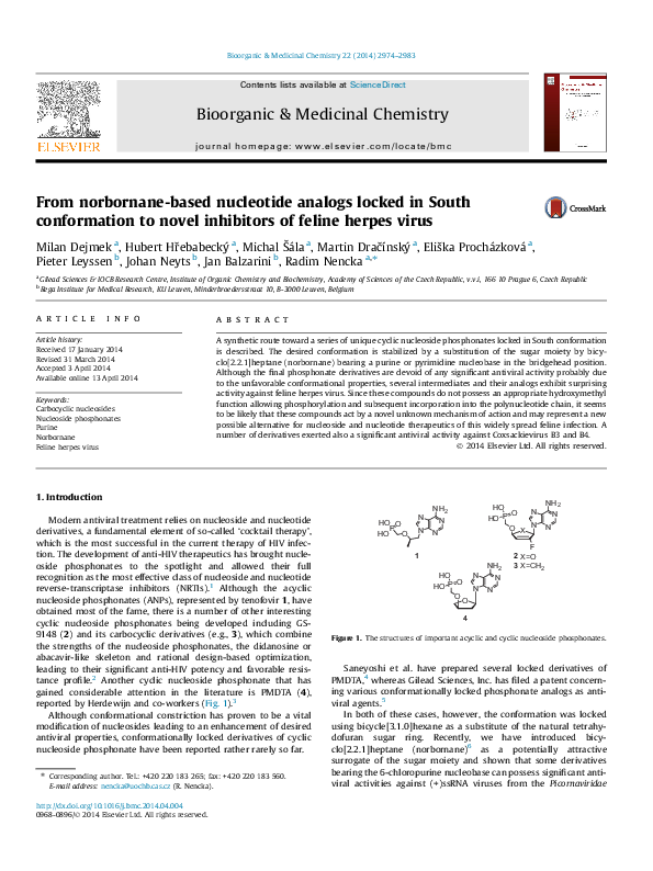 (PDF) From norbornane-based nucleotide analogs locked in South ...