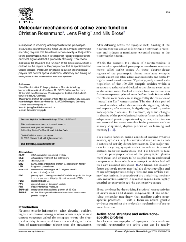 (PDF) Molecular mechanisms of active zone function