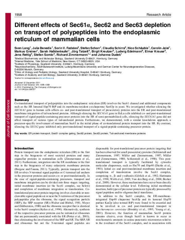 (PDF) Different effects of Sec61 , Sec62 and Sec63 depletion on ...