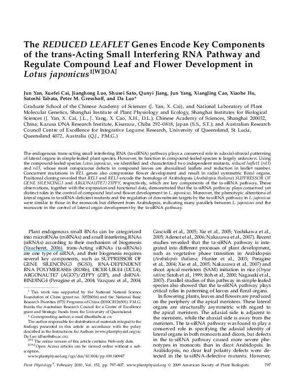 (PDF) The REDUCED LEAFLET Genes Encode Key Components of the trans ...