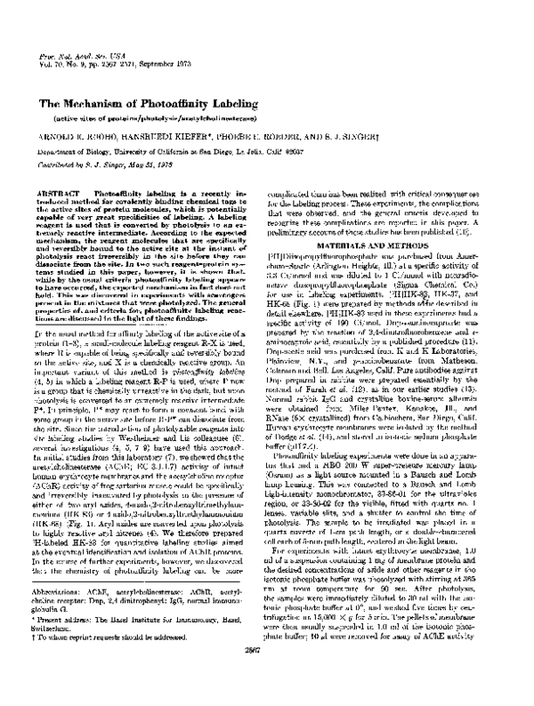 (PDF) The Mechanism of Photoaffinity Labeling