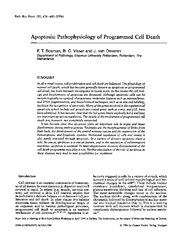 (PDF) Apoptosis: Pathophysiology of Programmed Cell Death