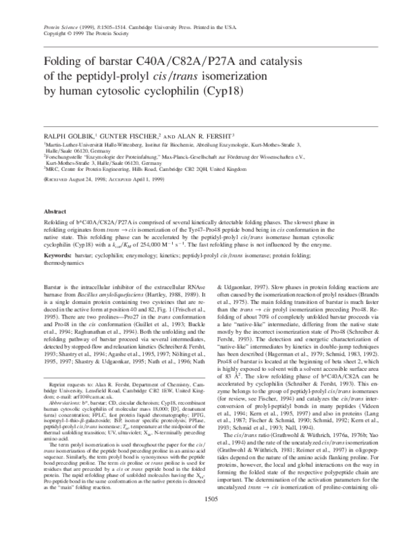 (PDF) Folding of barstar C40A/C82A/P27A and catalysis of the peptidyl ...