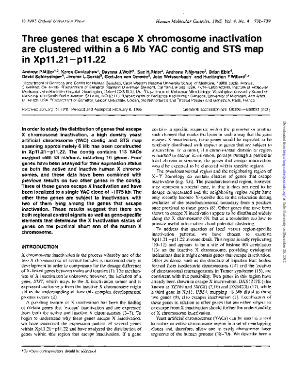 (PDF) Three genes that escape X chromosome inactivation are clustered ...