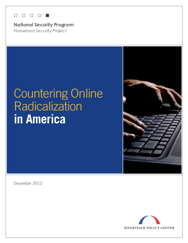 (PDF) National Security Program Countering Online Radicalization in America