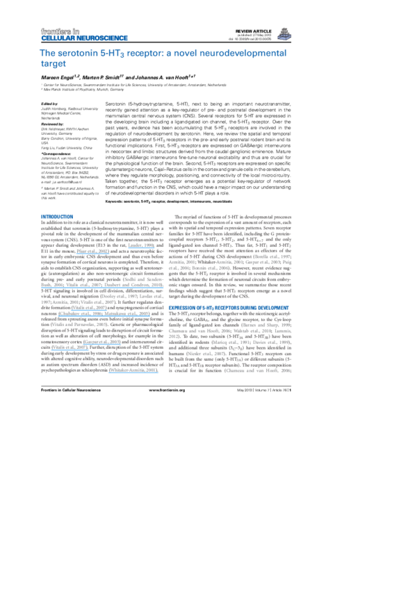 (PDF) The serotonin 5-HT3 receptor: a novel neurodevelopmental target