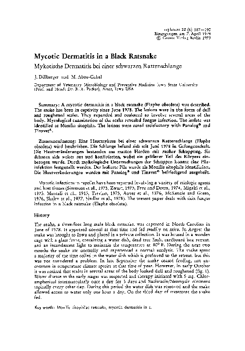 (PDF) Mycotic Dermatitis in a Black Ratsnake