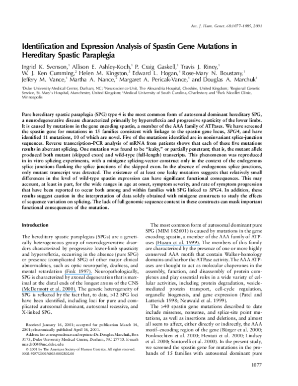 (PDF) Identification and Expression Analysis of Spastin Gene Mutations ...