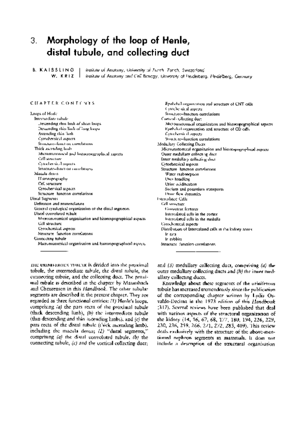 (PDF) Morphology of the loop of Henle, distal tubule, and collecting duct