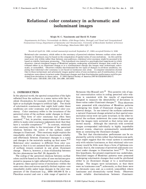 (PDF) Relational color constancy in achromatic and isoluminant images