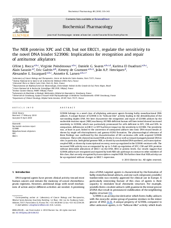 (PDF) The NER proteins XPC and CSB, but not ERCC1, regulate the ...