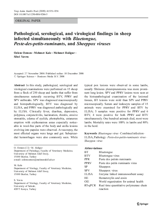 (PDF) Pathological, serological, and virological findings in sheep ...