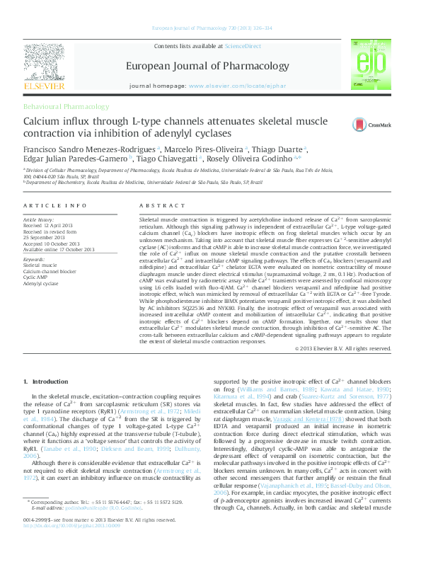 (PDF) Calcium influx through L-type channels attenuates skeletal muscle ...