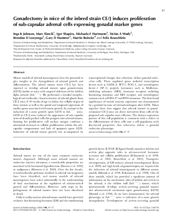 (PDF) Gonadectomy in mice of the inbred strain CE/J induces ...