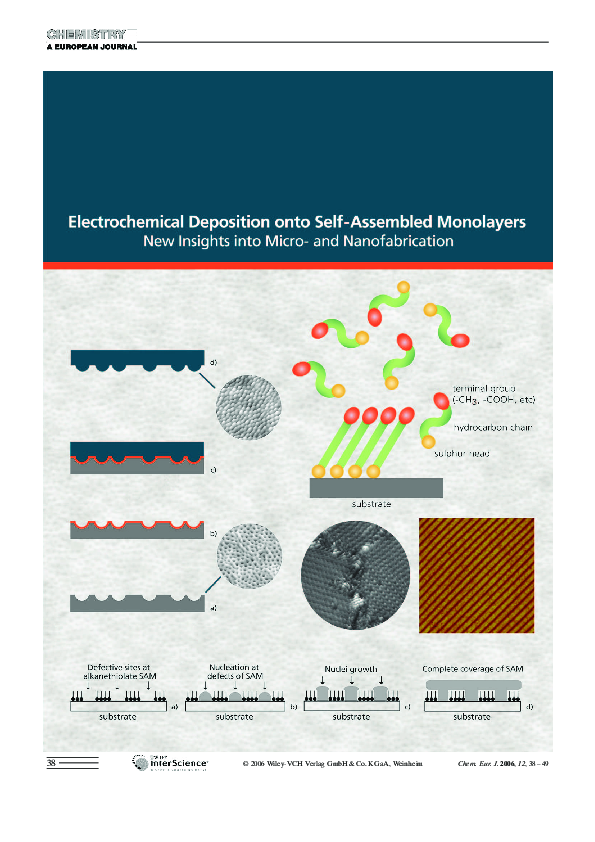 (PDF) Electrochemical Deposition onto Self-Assembled Monolayers: New Insights into Micro- and ...