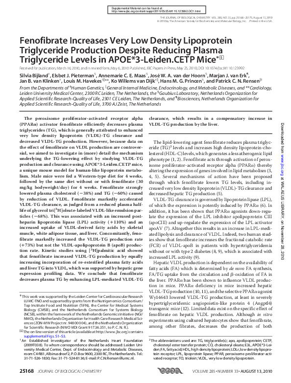 (PDF) Fenofibrate Increases Very Low Density Lipoprotein Triglyceride ...