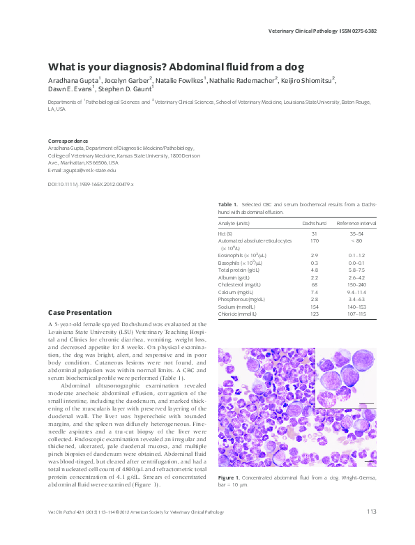 (PDF) What is your diagnosis? Abdominal fluid from a dog