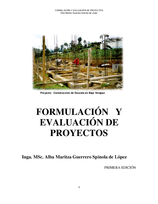 (PDF) FORMULACIÓN Y EVALUACIÓN DE PROYECTOS FORMULACIÓN Y EVALUACIÓN DE PROYECTOS