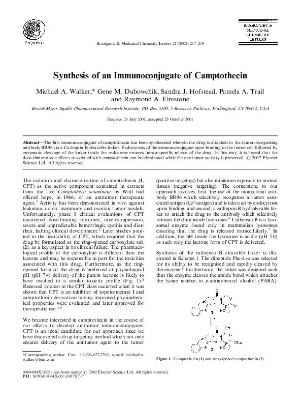 (PDF) Synthesis of an immunoconjugate of camptothecin