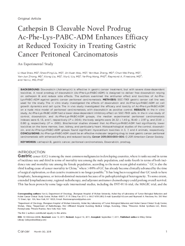 (PDF) Cathepsin B cleavable novel prodrug Ac-Phe-Lys-PABC-ADM enhances ...