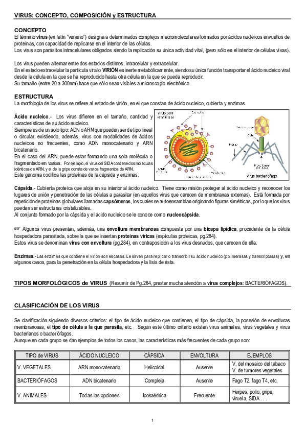 (PDF) VIRUS: CONCEPTO, COMPOSICIÓN y ESTRUCTURA