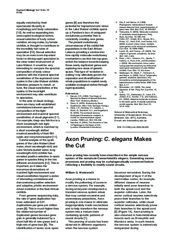 (PDF) Axon Pruning: C. elegans Makes the Cut