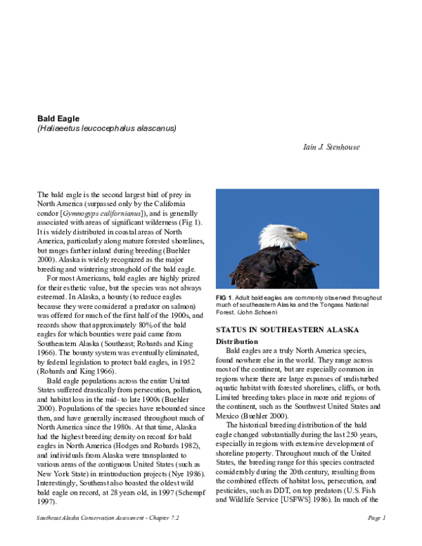 (PDF) Bald Eagle (Haliaeetus leucocephalus alascanus)