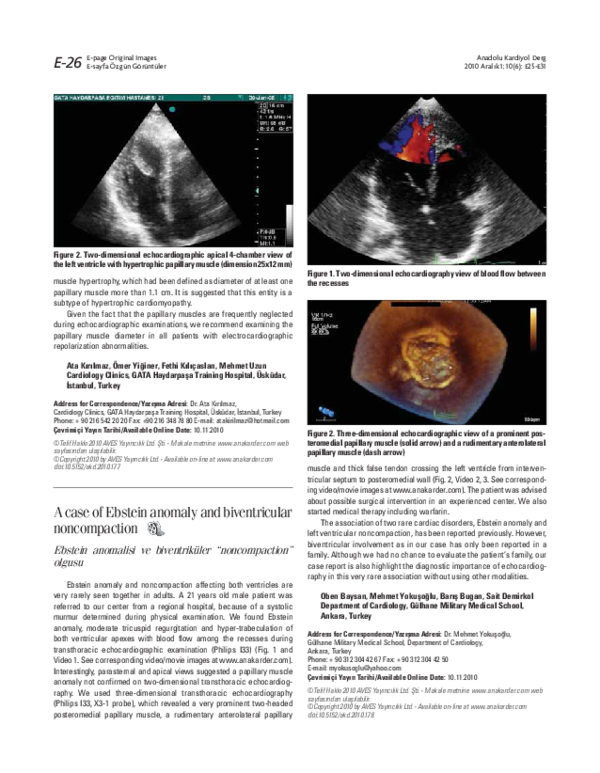 (PDF) A case of Ebstein anomaly and biventricular noncompaction
