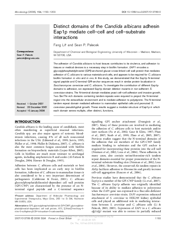 (PDF) Distinct domains of the Candida albicans adhesin Eap1p mediate cell-cell and cell ...