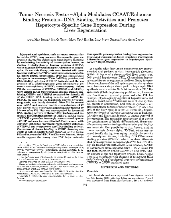 Pdf Tumor Necrosis Factor Alpha Modulates Ccaat Enhancer Binding