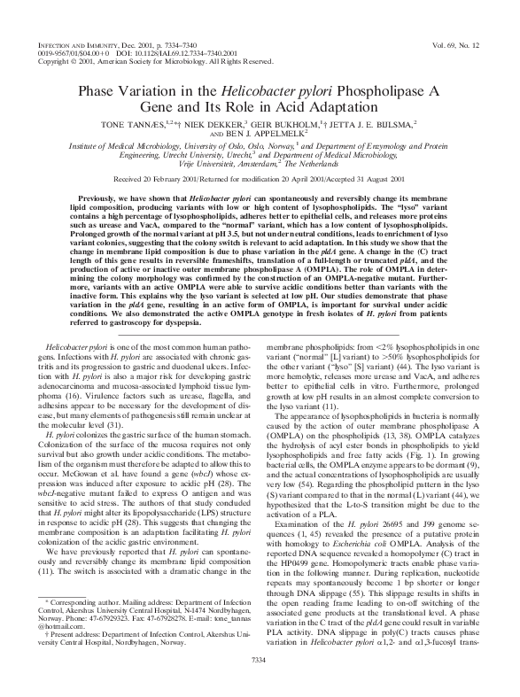 (PDF) Phase Variation in the Helicobacter pylori Phospholipase A Gene ...