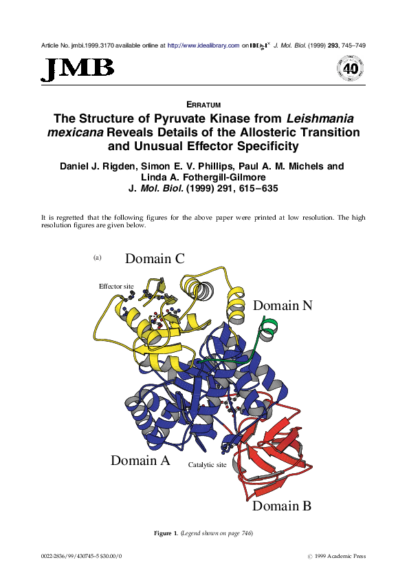 (PDF) The structure of pyruvate kinase from Leishmania mexicana reveals ...