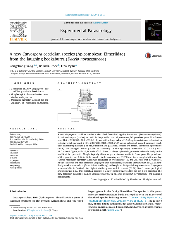 (PDF) A new Caryospora coccidian species (Apicomplexa: Eimeriidae) from ...