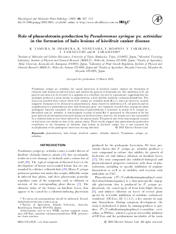 (PDF) Role of phaseolotoxin production by Pseudomonas syringae pv ...