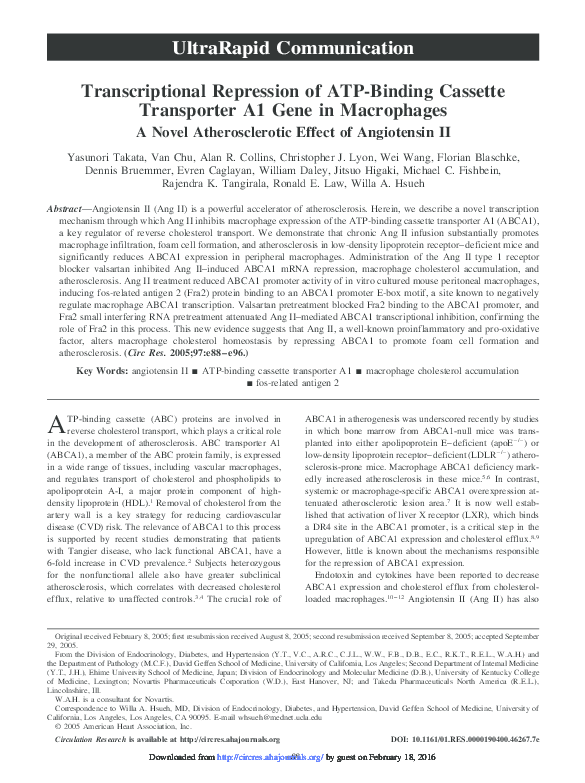 Pdf Transcriptional Repression Of Atp Binding Cassette Transporter A1