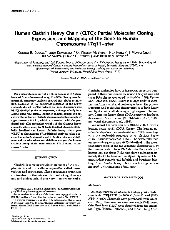 (PDF) Human clathrin heavy chain (CLTC): Partial molecular cloning ...