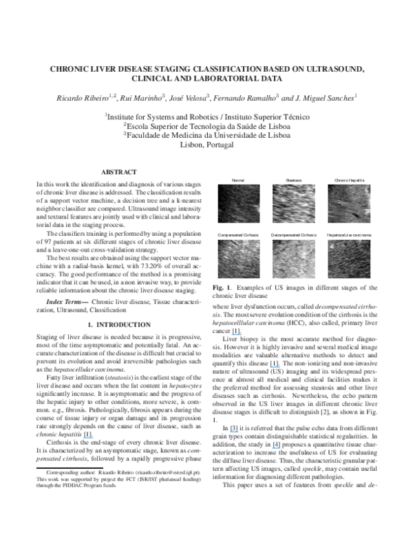 (PDF) Chronic liver disease staging classification based on ultrasound ...