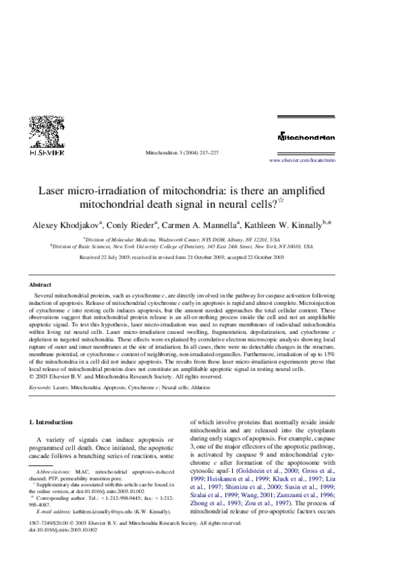 (PDF) Laser micro-irradiation of mitochondria: is there an amplified ...