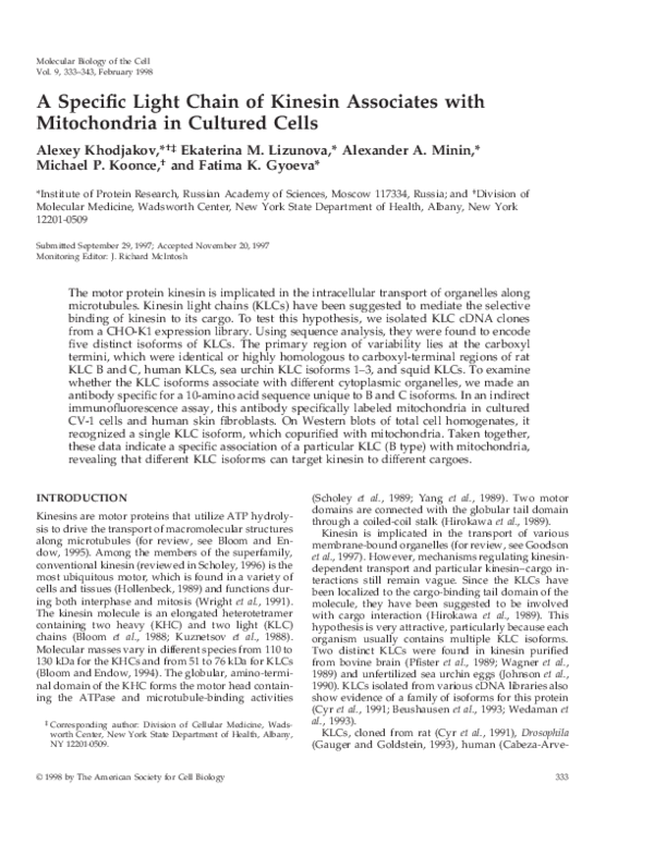 (PDF) A Specific Light Chain of Kinesin Associates with Mitochondria in ...